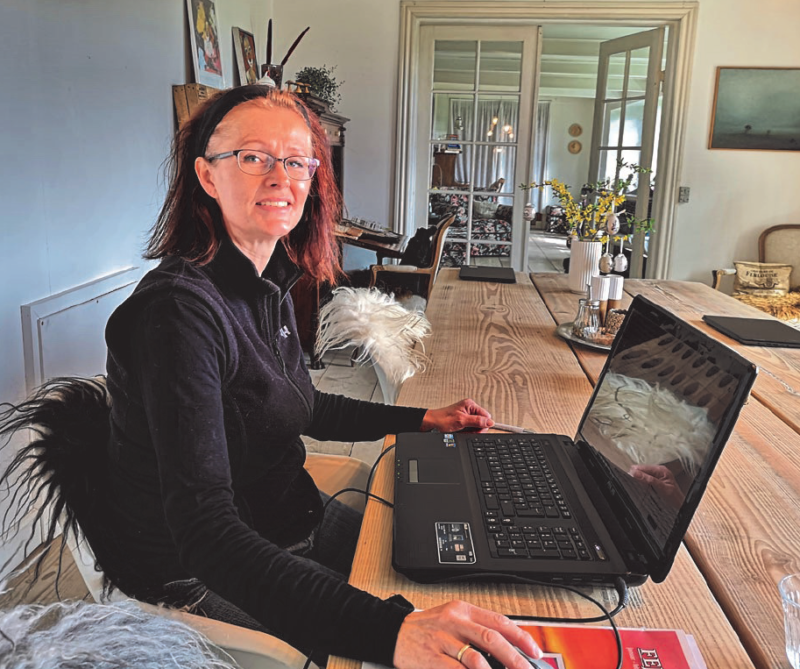 Redaktøren får ikke ø-kuller – Fejø
